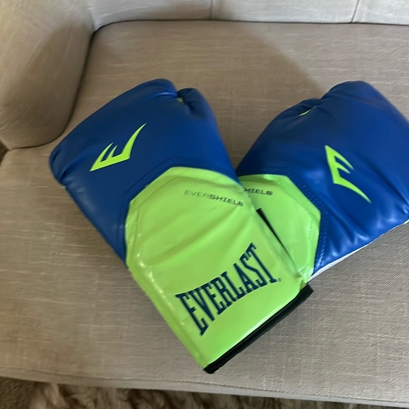 Everlast | Other | Blue And Green Everest Shield Everlast Boxing Gloves ...